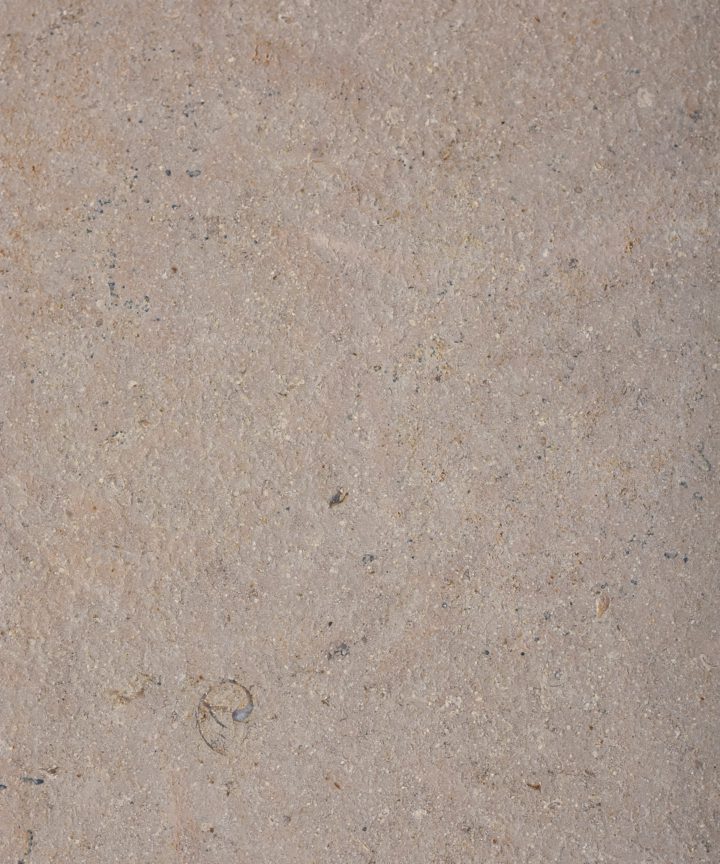 La Roche Brushed Limestone | Stoneworld.
