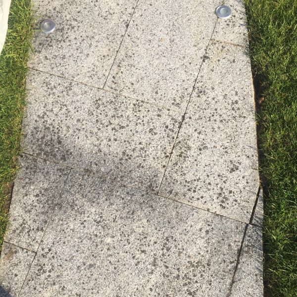 How do I remove black spot from my patio? - Stoneworld Oxfordshire How do I remove black spot from my patio? - Stoneworld Oxfordshire