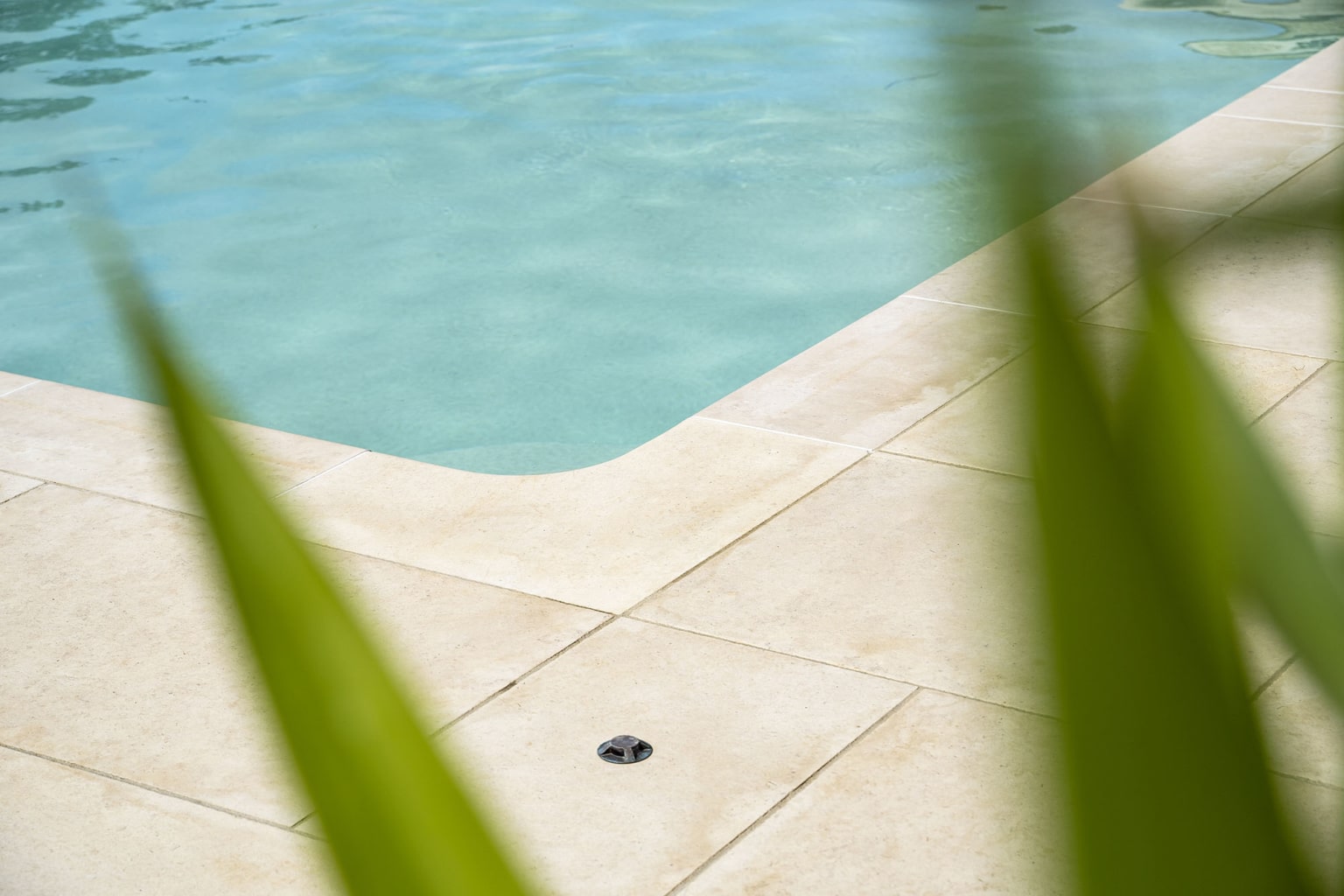 New product: Moleanos Sablino limestone - Stoneworld