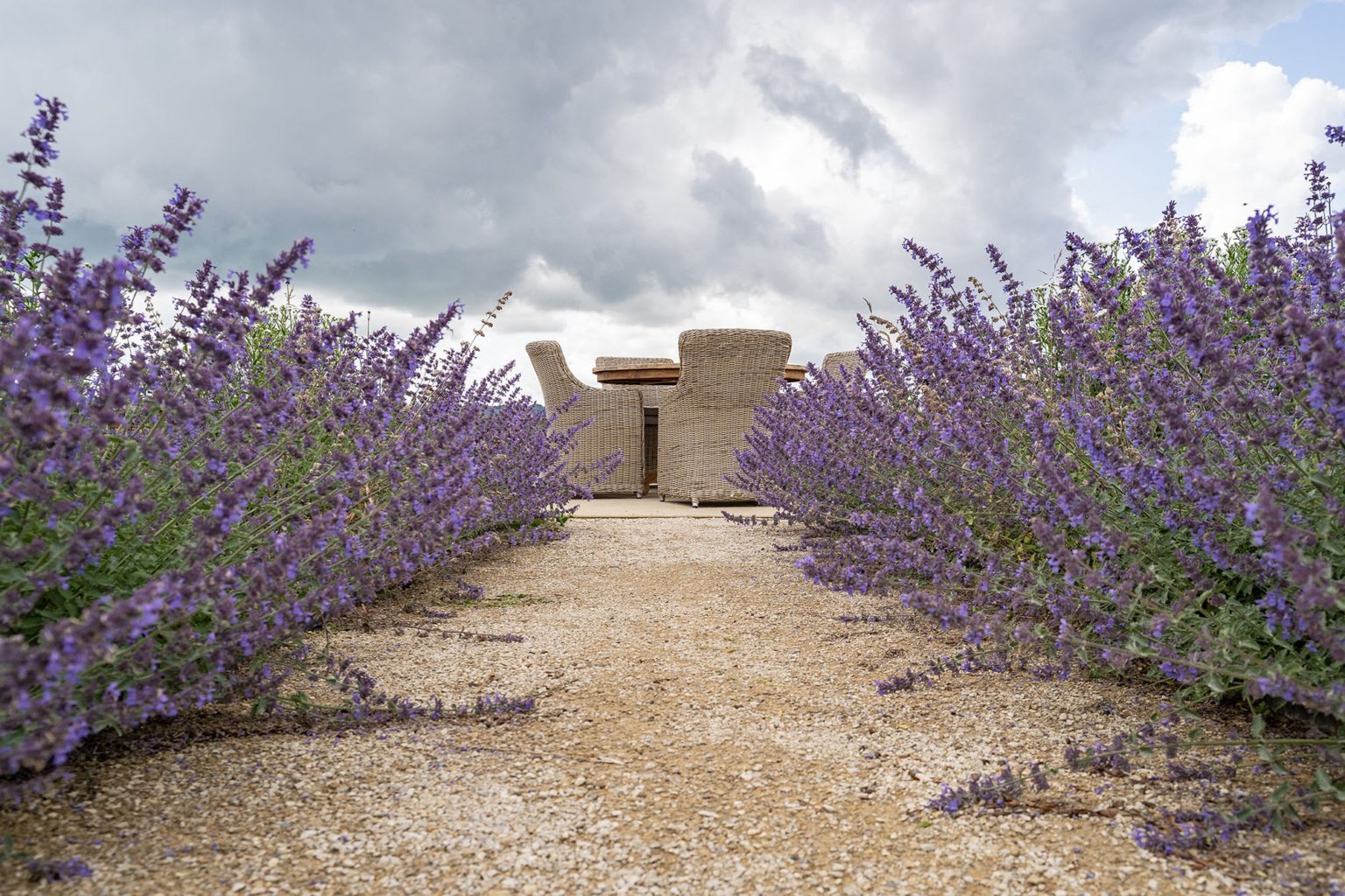 What is Self-Binding Gravel and How is it Used? - Stoneworld