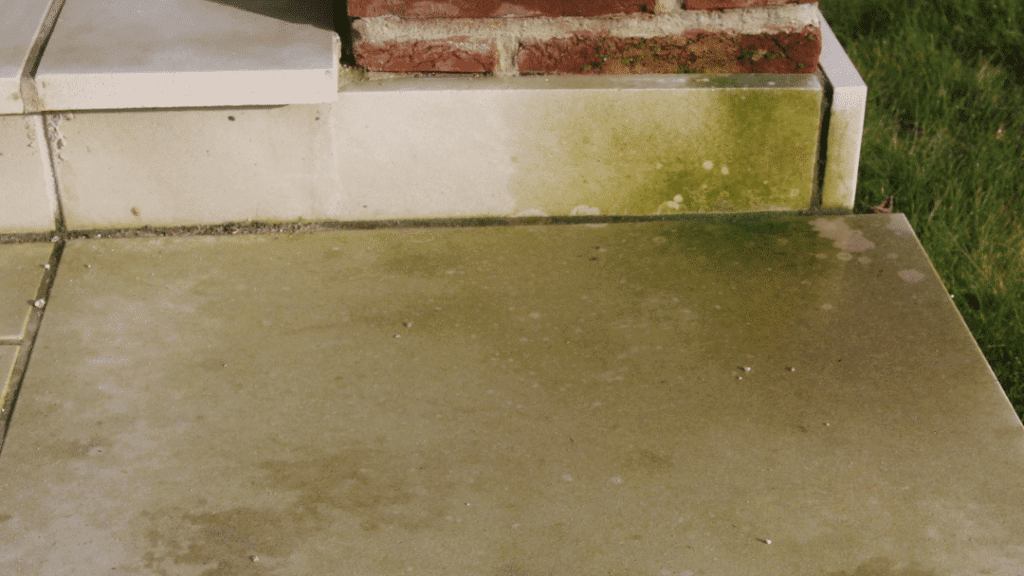 Algae Remover | How to Remove Green Algae from Your Patio Fast