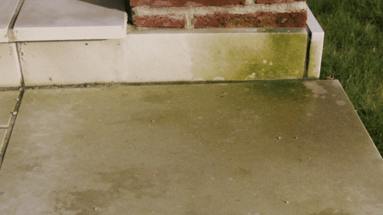Algae Remover | How to Remove Green Algae from Your Patio Fast
