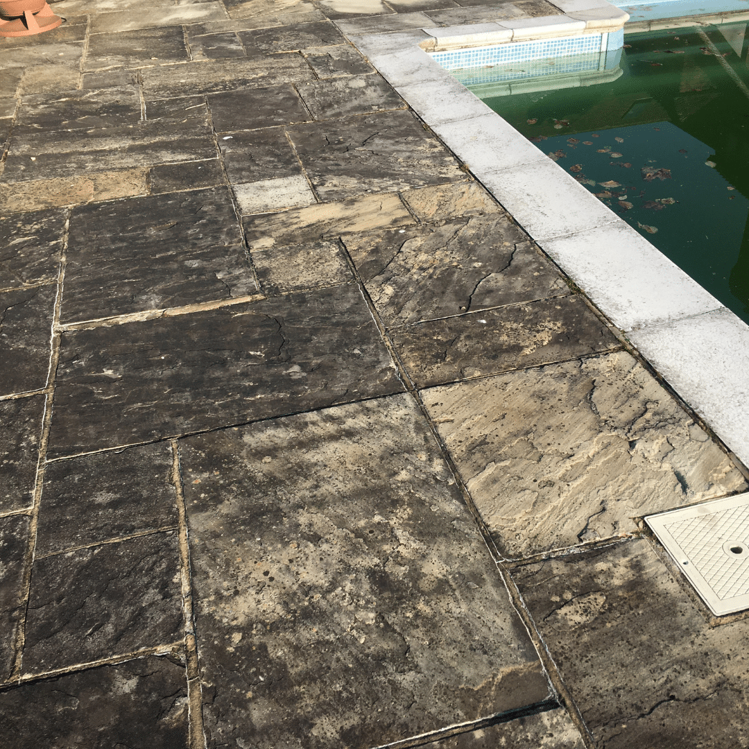 How to Remove Green Algae from Your Patio Fast - Stoneworld